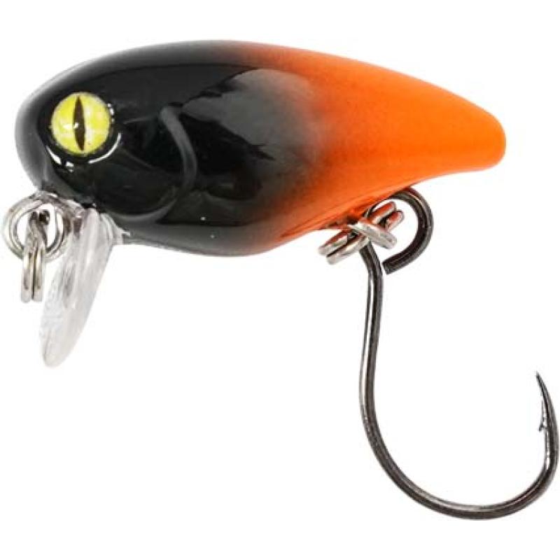 Balzer Cherry, Orange-Schwarz